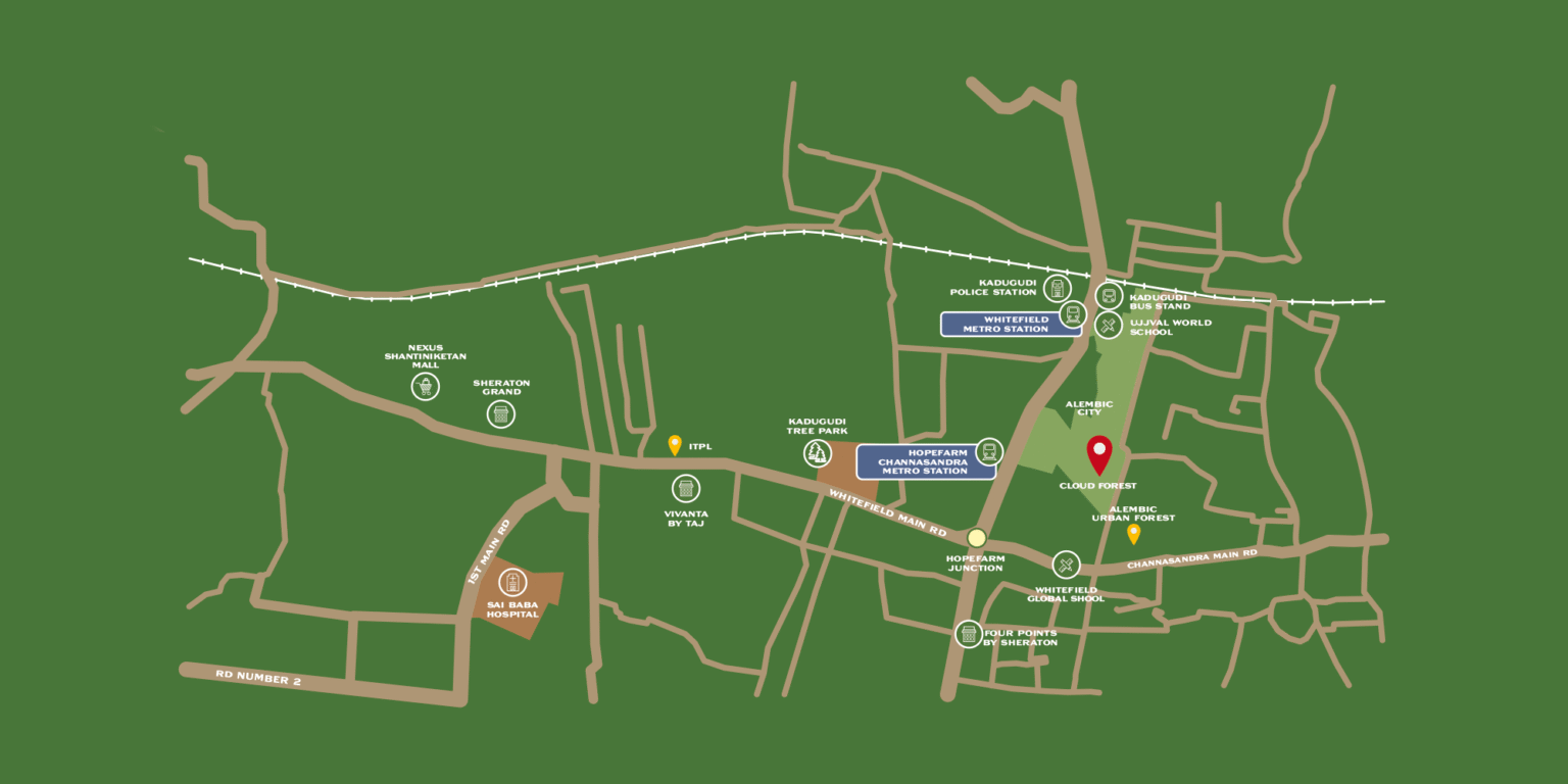 cloudforestalembic.com